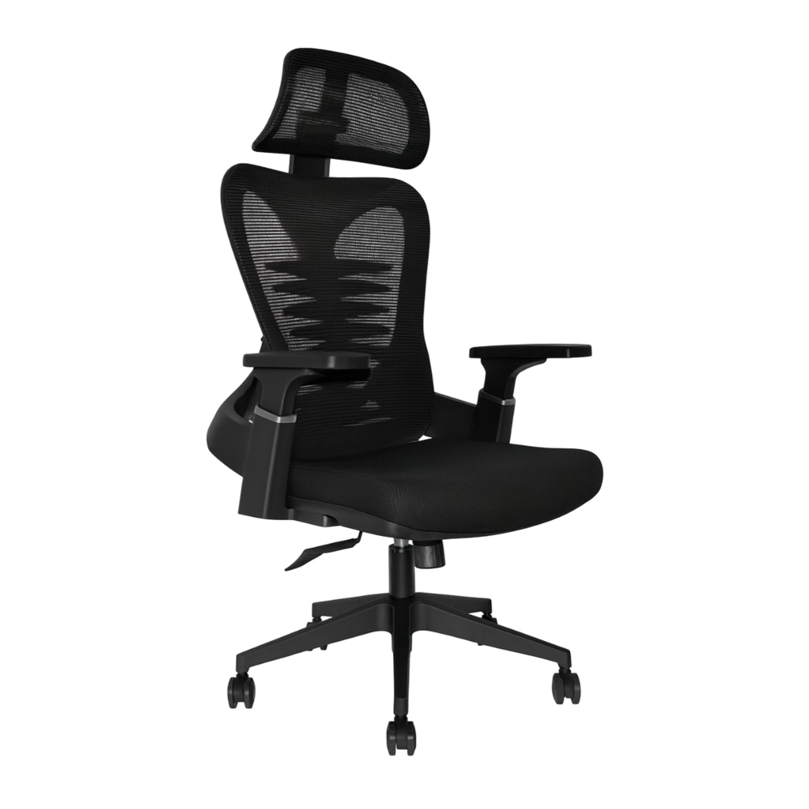DENZER PRO – ERGOCLASS